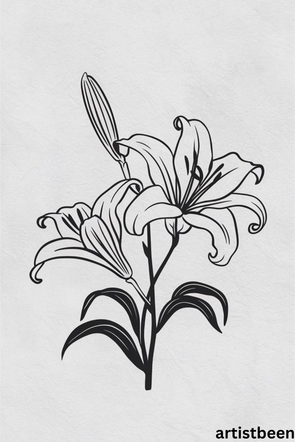 60+ Easy Lily Drawing Ideas for Beginners - Artist Been