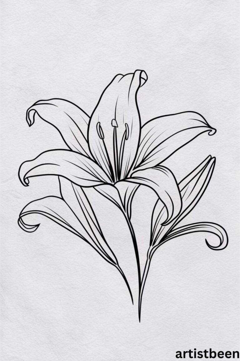 60+ Easy Lily Drawing Ideas for Beginners - Artist Been