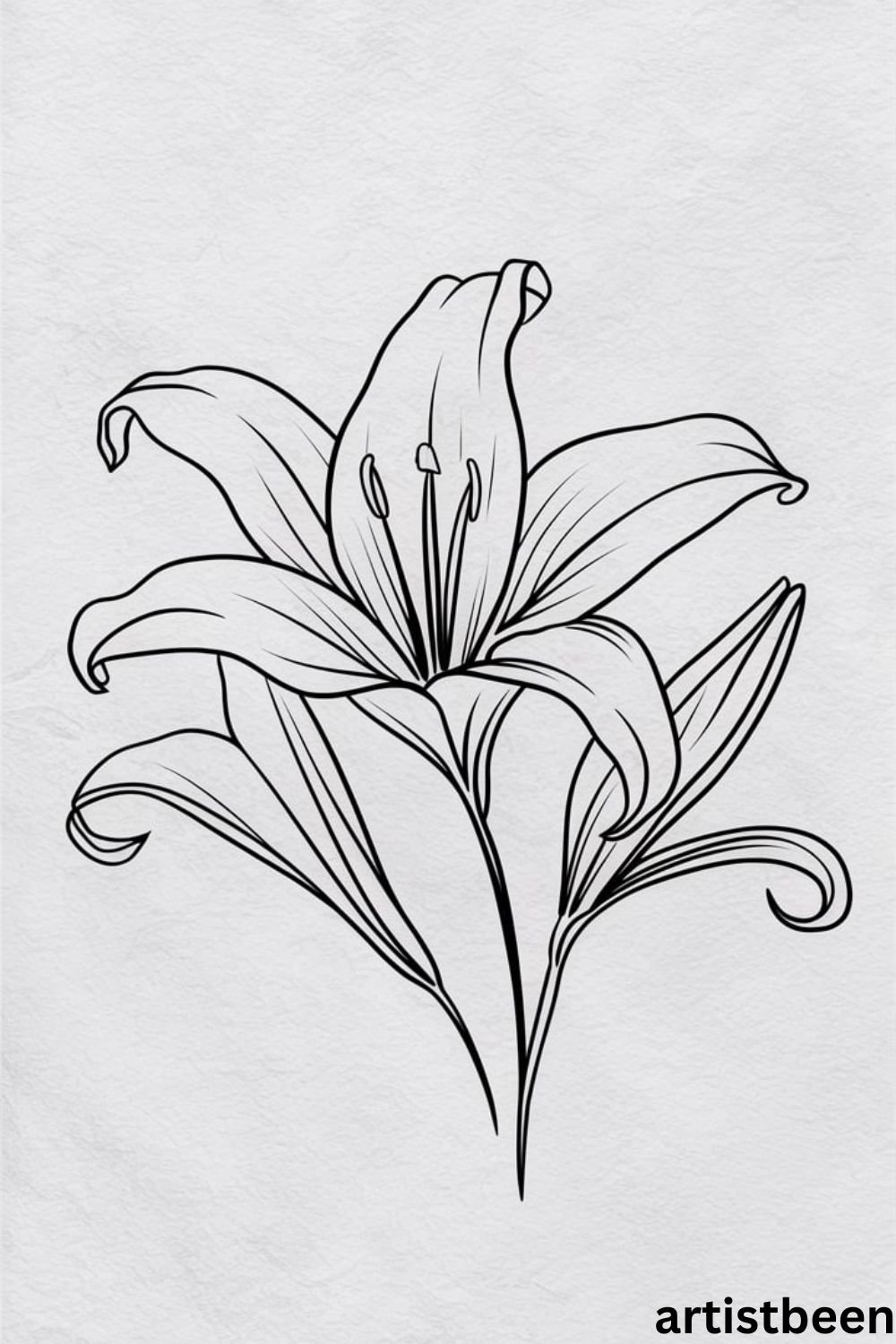 60+ Easy Lily Drawing Ideas for Beginners - Artist Been