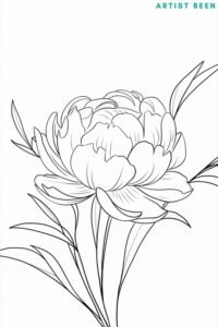 57+ Easy Peony Drawing Ideas for Beginners - Artist Been