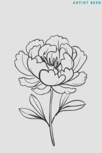 57+ Easy Peony Drawing Ideas for Beginners - Artist Been