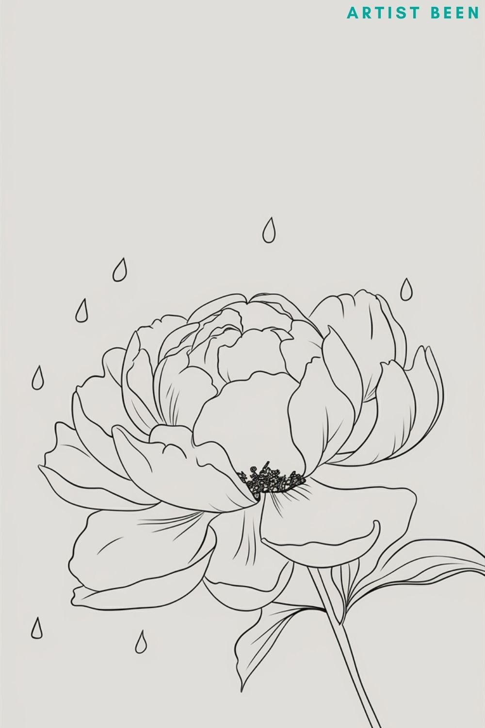 57+ Easy Peony Drawing Ideas for Beginners - Artist Been
