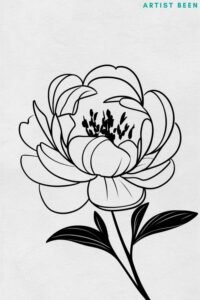 57+ Easy Peony Drawing Ideas for Beginners - Artist Been