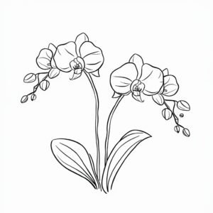 50 Easy Flowers Drawing Ideas for Beginners 🌸 - Artist Been