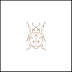 55+ Easy Bug Doodle Ideas to Draw - Artist Been