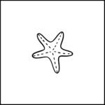 50+ Easy Ocean Doodle Ideas to try - Artist Been