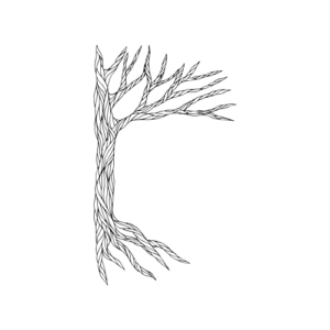 30 Easy Tree Drawing Ideas for Beginners - Artist Been
