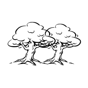 30 Easy Tree Drawing Ideas for Beginners - Artist Been