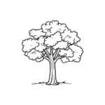 30 Easy Tree Drawing Ideas for Beginners - Artist Been