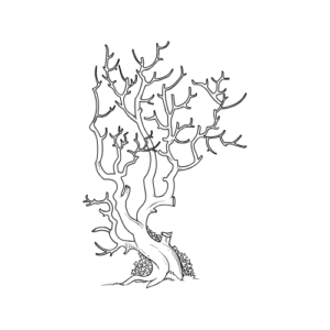 30 Easy Tree Drawing Ideas for Beginners - Artist Been