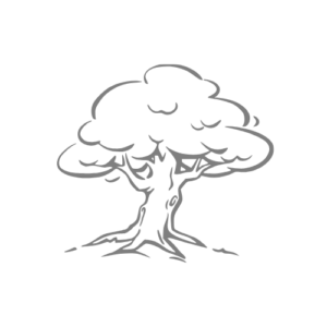 30 Easy Tree Drawing Ideas for Beginners - Artist Been