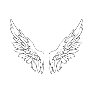 30+ Stunning Wings Drawing Ideas for Beginners - Artist Been