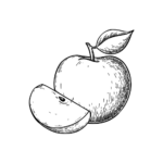 35+ Amazing Apple Drawing Ideas for beginners - Artist Been