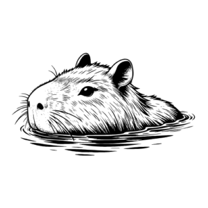 30+ Cute Capybara Drawing Ideas for beginners - Artist Been