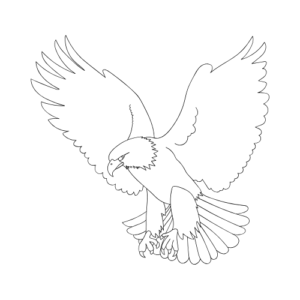 35+ Creative Eagle Drawing Ideas for Beginner Artists - Artist Been