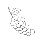 35+ Fresh Fruit Drawing Ideas for Beginners - Artist Been