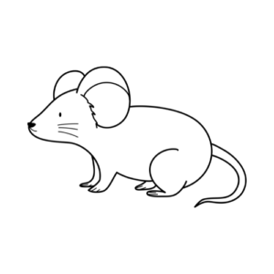 36+ Witty Mouse Drawing Ideas for Beginners - Artist Been