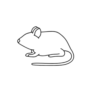 36+ Witty Mouse Drawing Ideas for Beginners - Artist Been