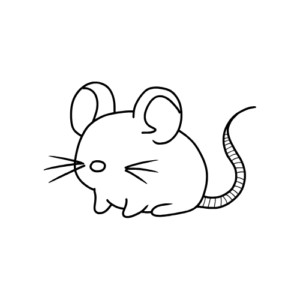 36+ Witty Mouse Drawing Ideas for Beginners - Artist Been