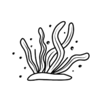 33+ Cool Ocean Drawing Ideas for Beginners - Artist Been