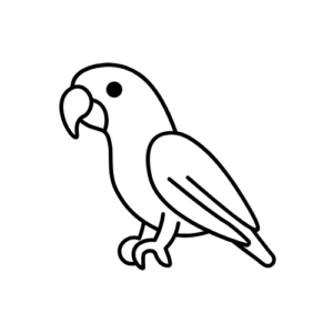 35+ Easy Parrot Drawing Ideas for Beginners - Artist Been