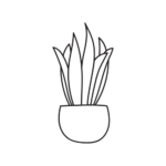 33+ Easy Plant Drawing Ideas for Beginners - Artist Been