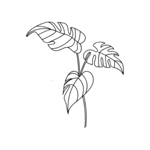 33+ Easy Plant Drawing Ideas for Beginners - Artist Been