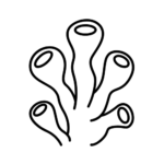 33+ Sensational Sea Drawing Ideas for Beginners - Artist Been