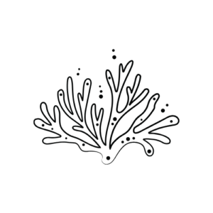 33+ Sensational Sea Drawing Ideas for Beginners - Artist Been