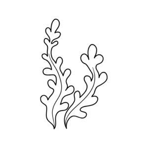 33+ Sensational Sea Drawing Ideas for Beginners - Artist Been