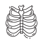 33+ Skinny Skeleton Drawing Ideas for Beginners - Artist Been