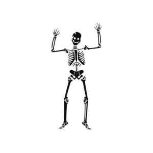33+ Skinny Skeleton Drawing Ideas for Beginners - Artist Been
