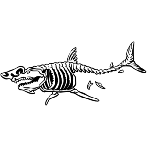 33+ Skinny Skeleton Drawing Ideas for Beginners - Artist Been