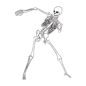 33+ Skinny Skeleton Drawing Ideas for Beginners - Artist Been