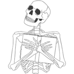 33+ Skinny Skeleton Drawing Ideas for Beginners - Artist Been