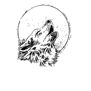 30+ Furious Wolf Drawing ideas for beginners - Artist Been