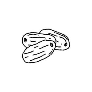 32+ Healthy Date Drawing Ideas for Beginners - Artist Been