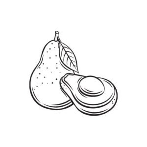 34+ Awesome Avocado Drawing Ideas for Beginners - Artist Been