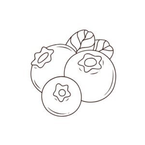 33+ Sour Blueberry Drawing Ideas for Beginners - Artist Been