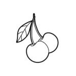 33+ Tasty Cherry Drawing Ideas for Beginners - Artist Been