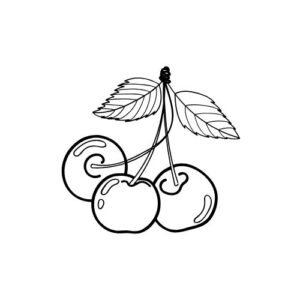 33+ Tasty Cherry Drawing Ideas for Beginners - Artist Been