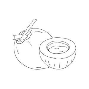 32+ Cool Coconut Drawing Ideas for Beginners - Artist Been