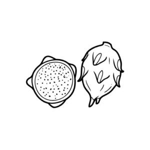 33+ Dark Dragon Fruit Drawing Ideas for Beginners - Artist Been