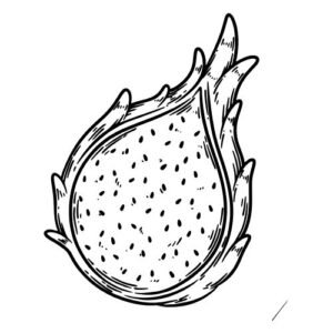 33+ Dark Dragon Fruit Drawing Ideas for Beginners - Artist Been