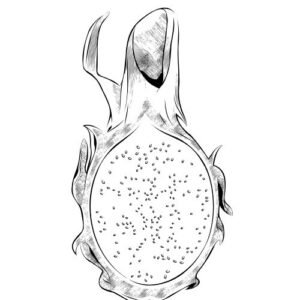 33+ Dark Dragon Fruit Drawing Ideas for Beginners - Artist Been