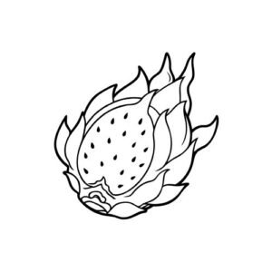 33+ Dark Dragon Fruit Drawing Ideas for Beginners - Artist Been