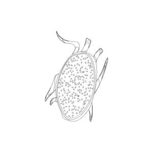 33+ Dark Dragon Fruit Drawing Ideas for Beginners - Artist Been