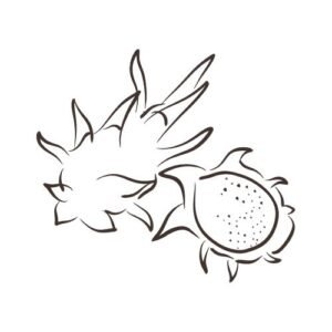 33+ Dark Dragon Fruit Drawing Ideas for Beginners - Artist Been