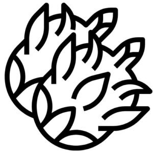 33+ Dark Dragon Fruit Drawing Ideas for Beginners - Artist Been