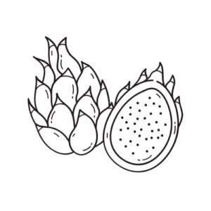 33+ Dark Dragon Fruit Drawing Ideas for Beginners - Artist Been